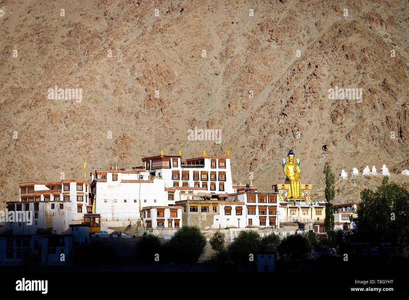 India, state of Jammu and Kashmir, Himalaya, Ladakh, Indus valley ...