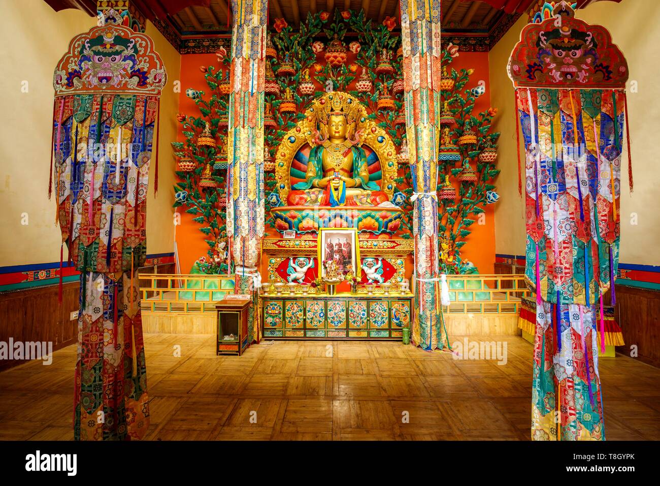 India, state of Jammu and Kashmir, Himalaya, Ladakh, Indus valley ...