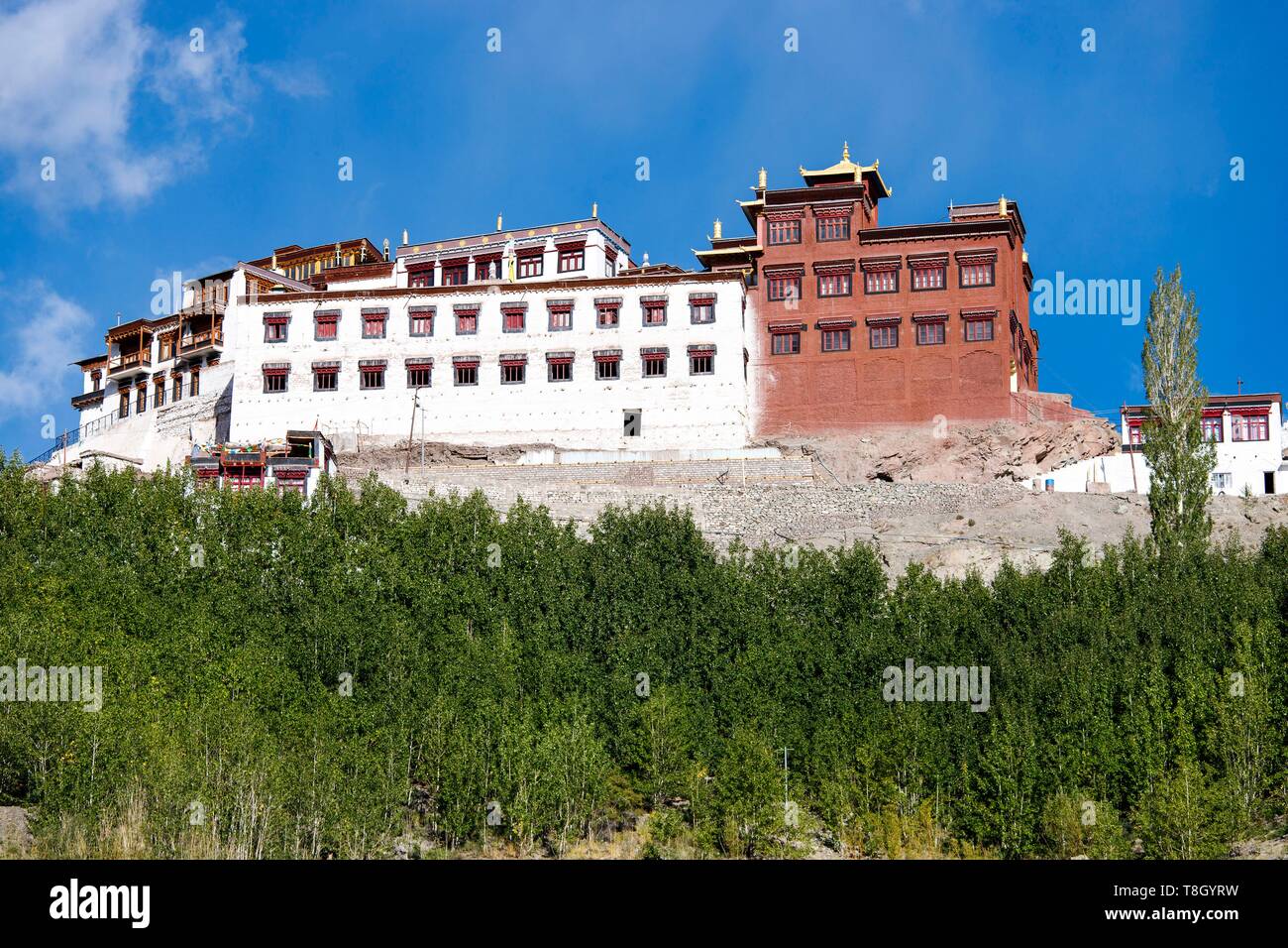 Matho ladakh hi-res stock photography and images - Alamy
