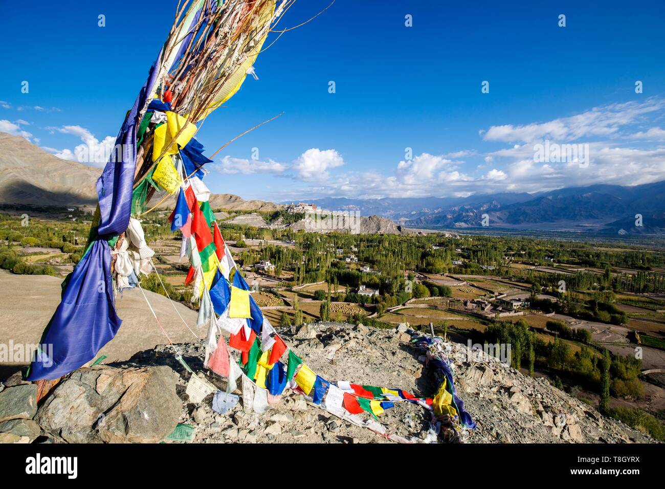Indus plain agriculture hi-res stock photography and images - Alamy