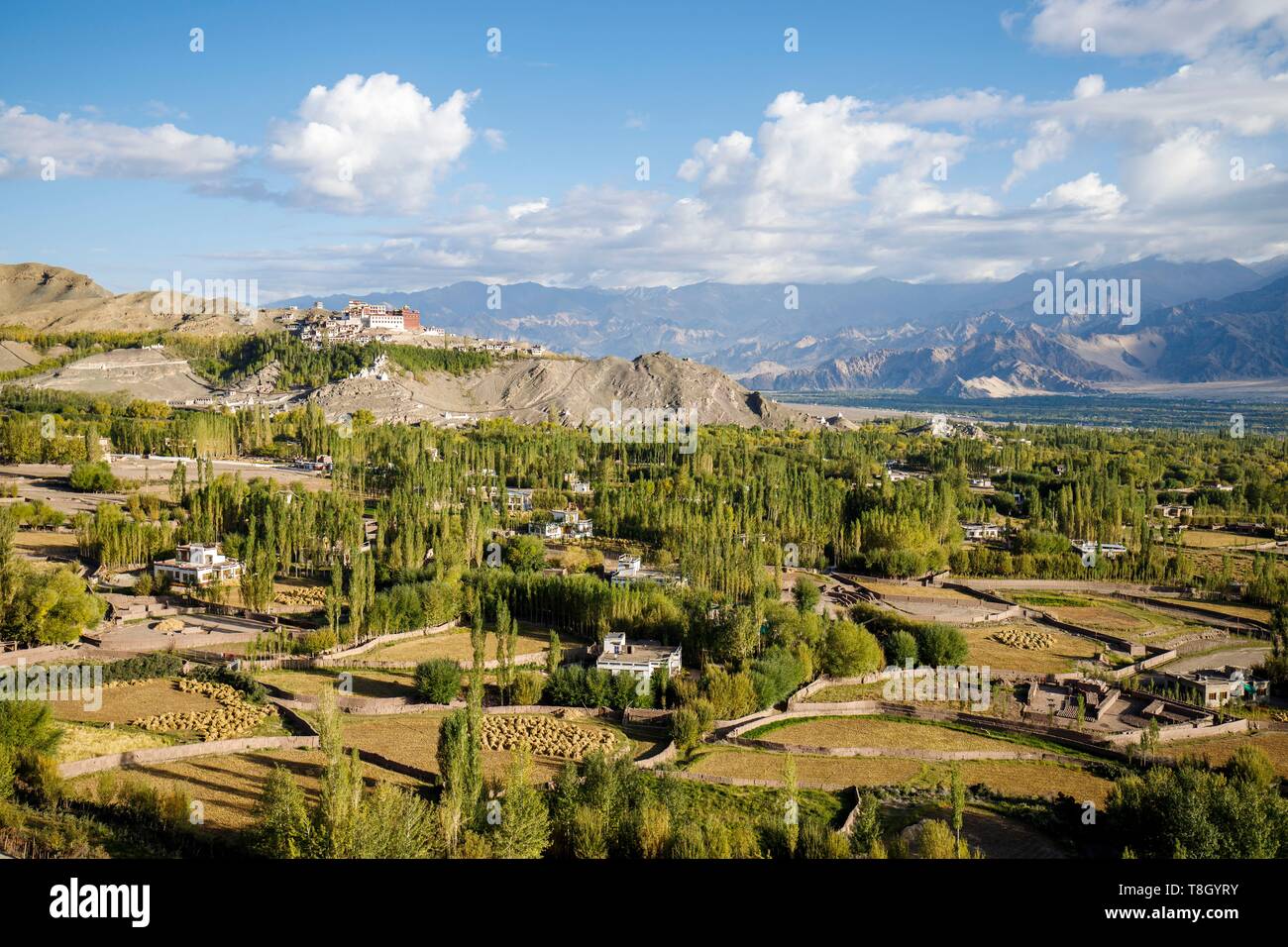 Indus plain agriculture hi-res stock photography and images - Alamy