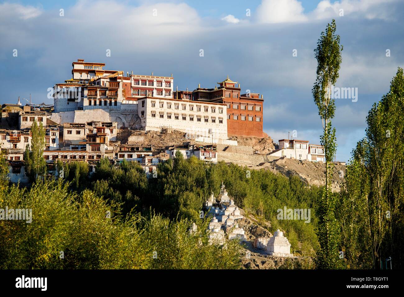 India, state of Jammu and Kashmir, Himalaya, Ladakh, Indus valley ...