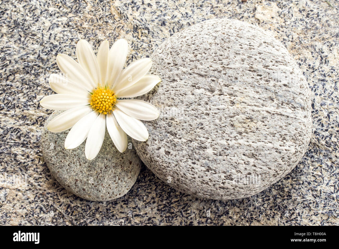Pebble background hi-res stock photography and images - Alamy
