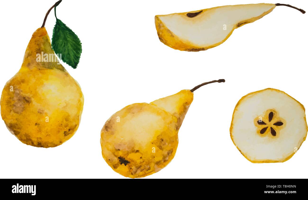 set of watercolor hand drawing yellow ripe pears and slices Stock ...