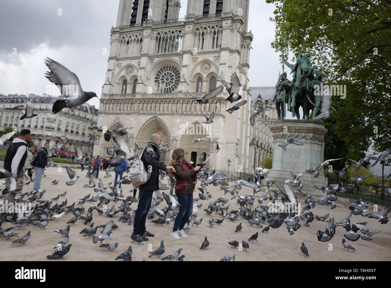 France, Paris, Pigeons flying in front of Notre Dame de Paris Stock ...