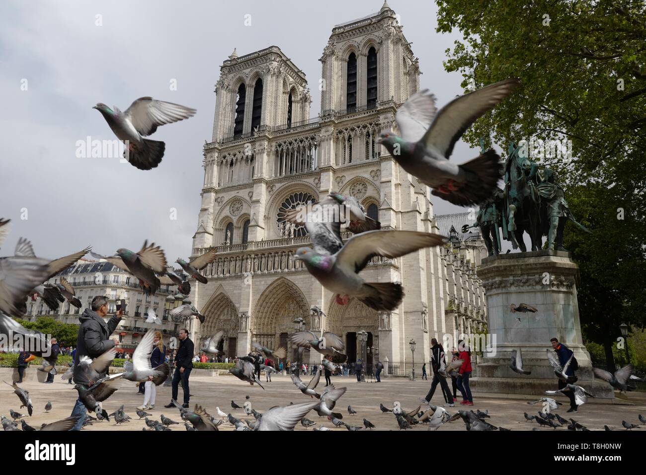 Statue pigeons flying hi-res stock photography and images - Alamy