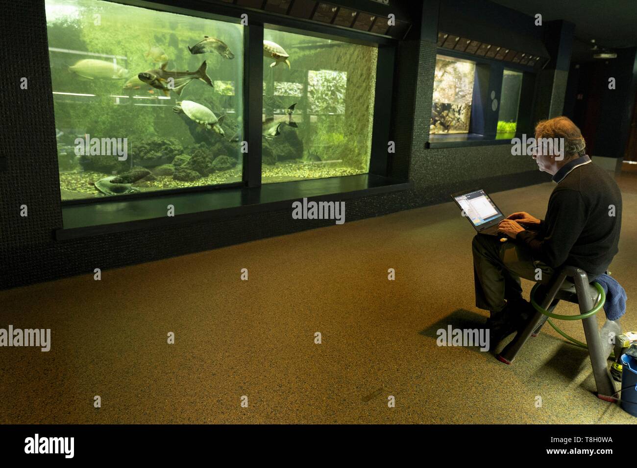 France, Paris, Immigration museum aquarium Stock Photo - Alamy