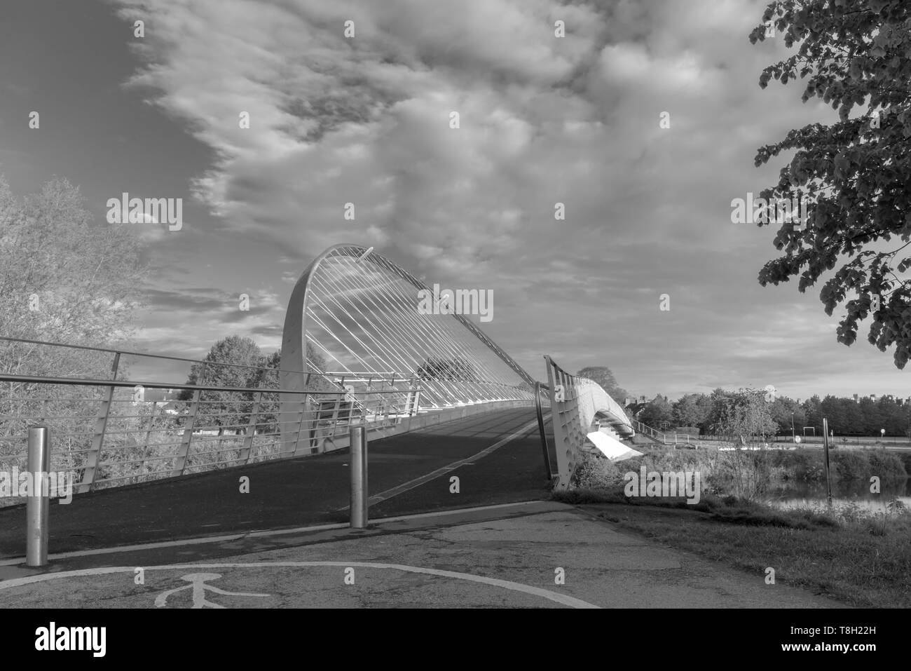 The Millennium Bridge in York. A modern designed steel suspension ...