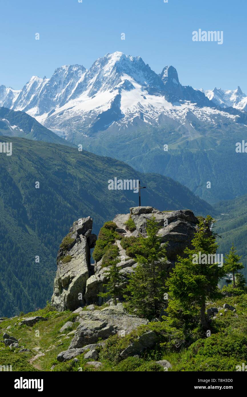 France, Haute Savoie, Chamonix Vallorcine, Aiguilles Rouges massif ...