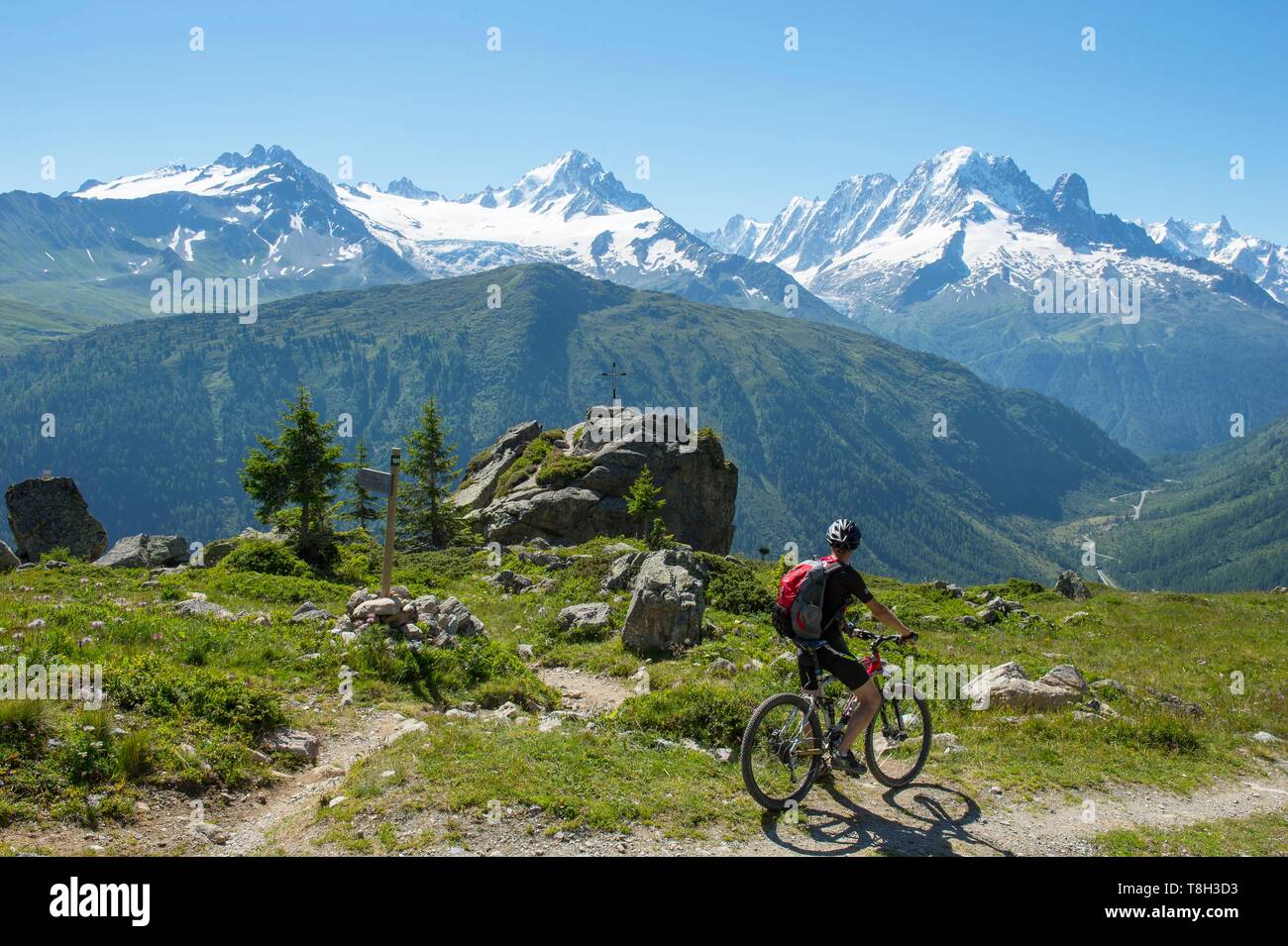 France, Haute Savoie, Chamonix Vallorcine, Aiguilles Rouges massif ...