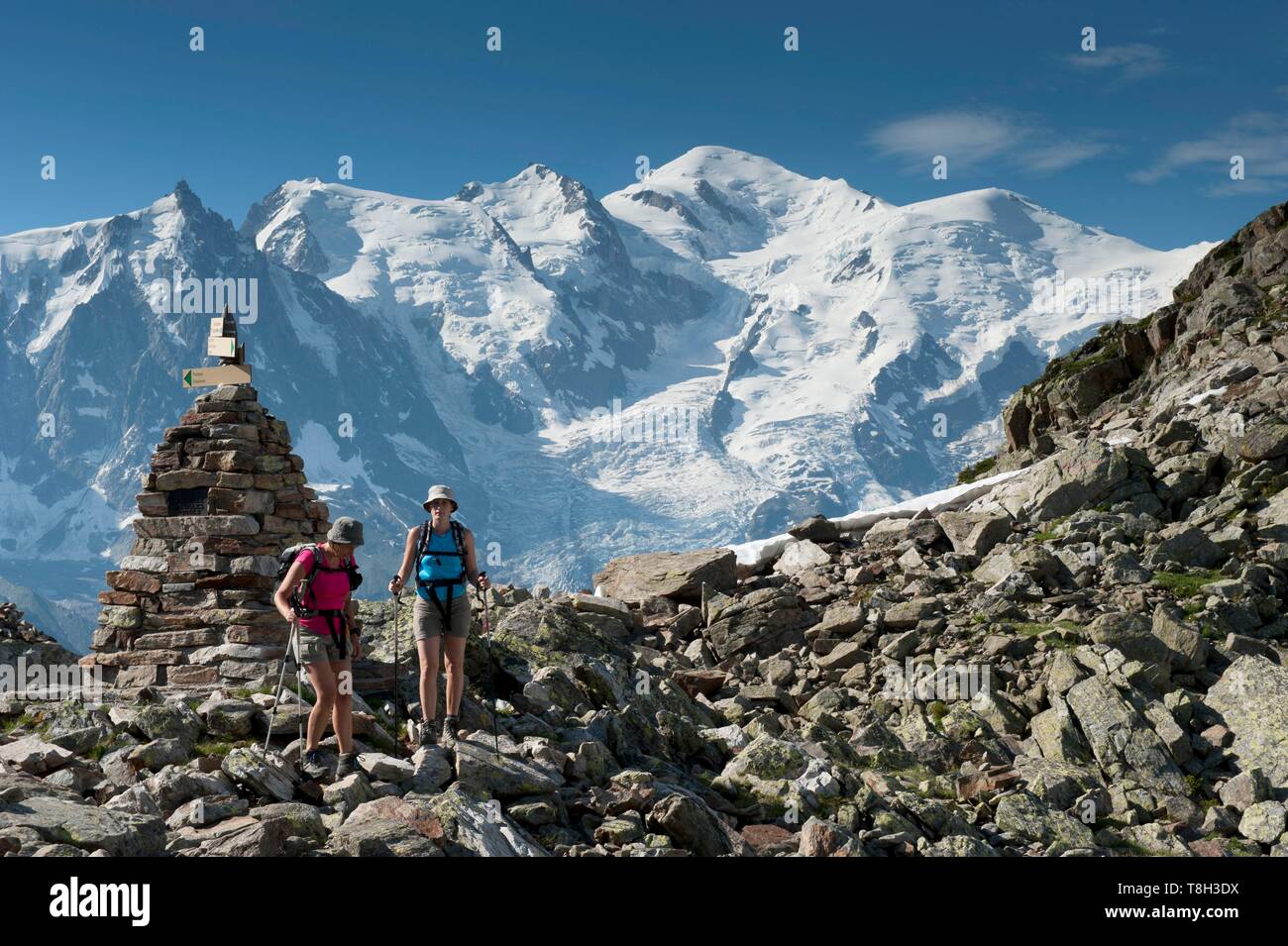 France, Haute Savoie, Chamonix, red needles massif, nature reserve, hiking to Lake Cornu, pass ...