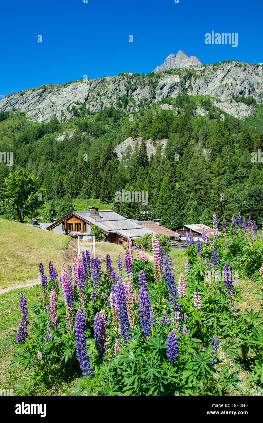 Lupin building hi-res stock photography and images - Alamy