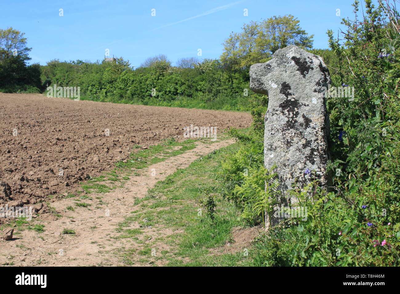 Cornish cross hi-res stock photography and images - Alamy