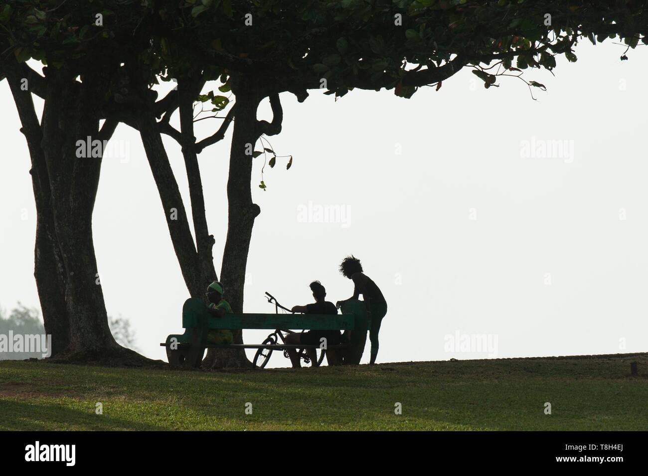France, French Guiana, Cayenne, people under the trees Stock Photo - Alamy