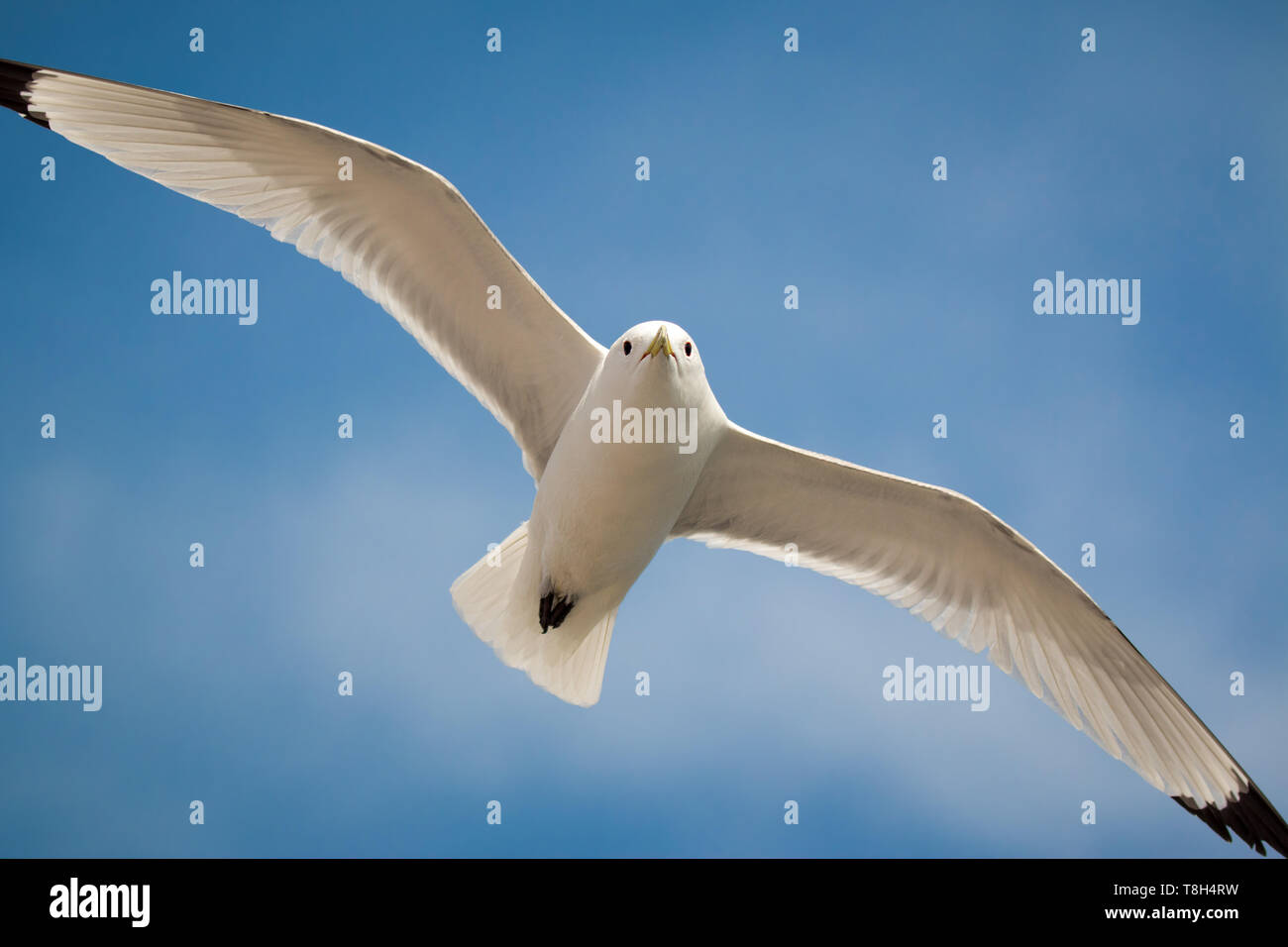 Inland marine beach hi-res stock photography and images - Alamy