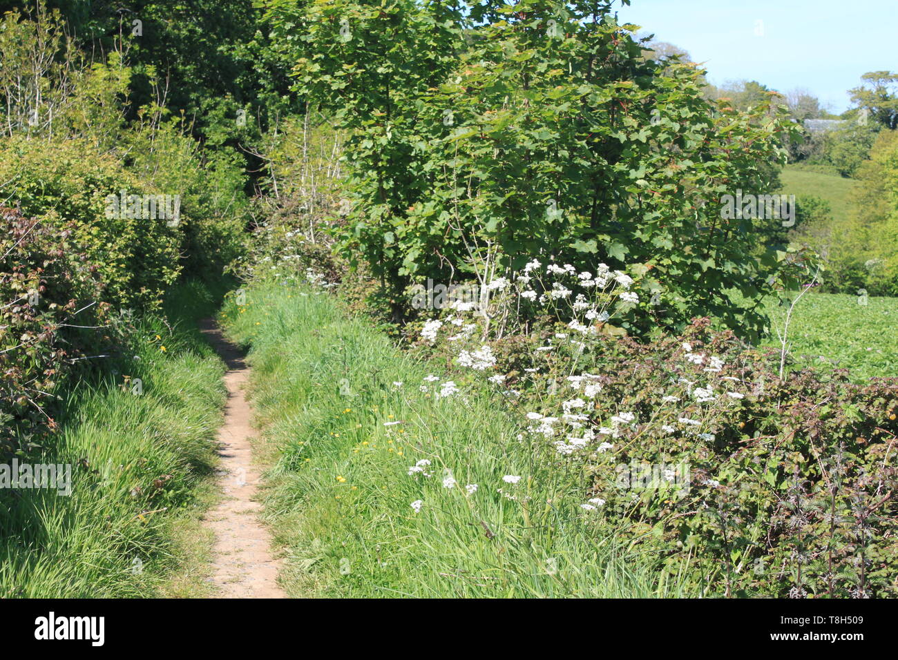 Uk outdoors forest person wildlife hi-res stock photography and images ...