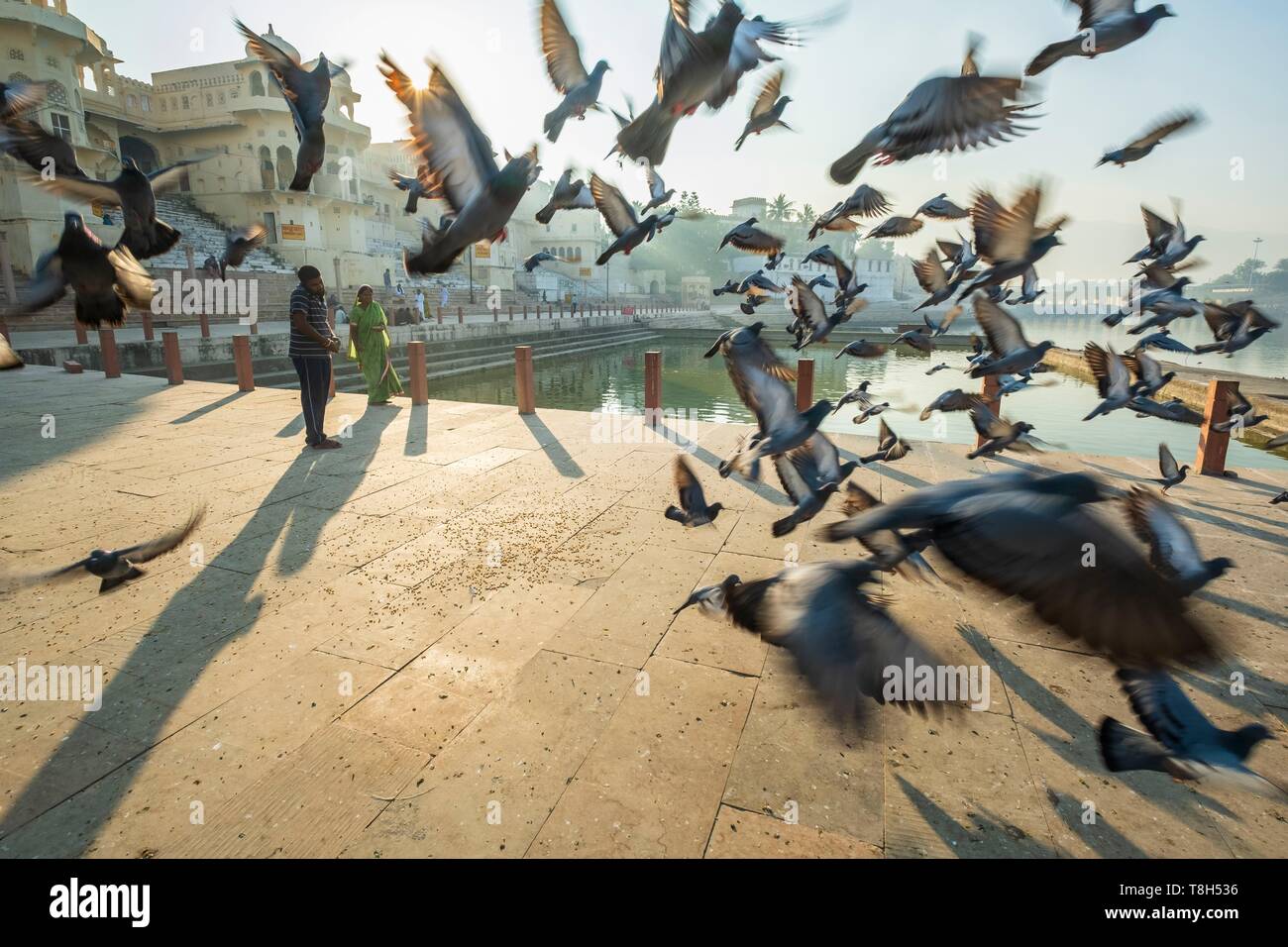 Pushkar lake and bathing hi-res stock photography and images - Alamy
