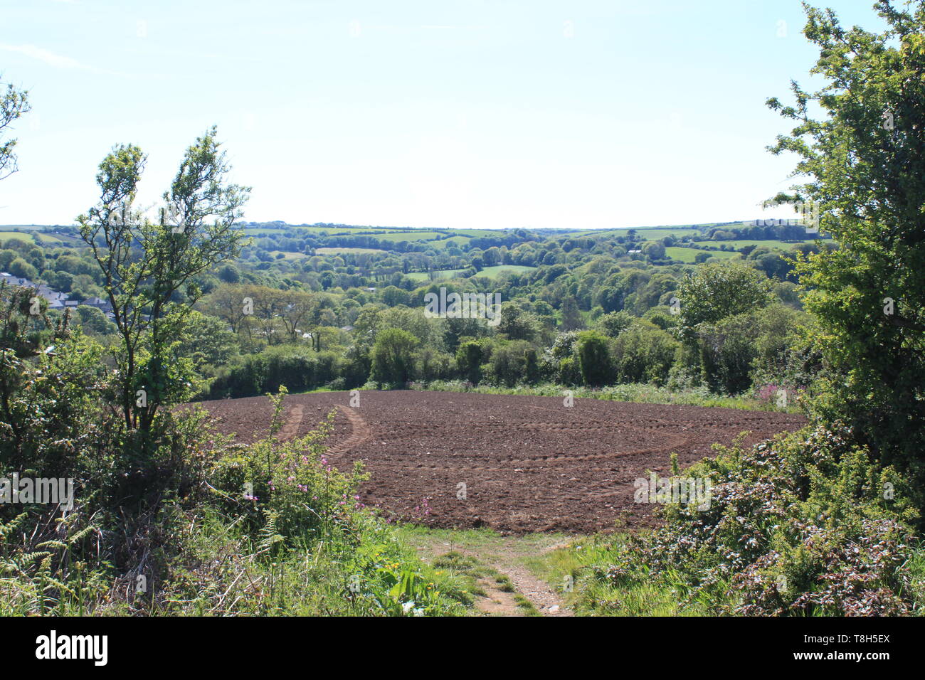 Cornish landscape fields trees vegetation hi-res stock photography and ...