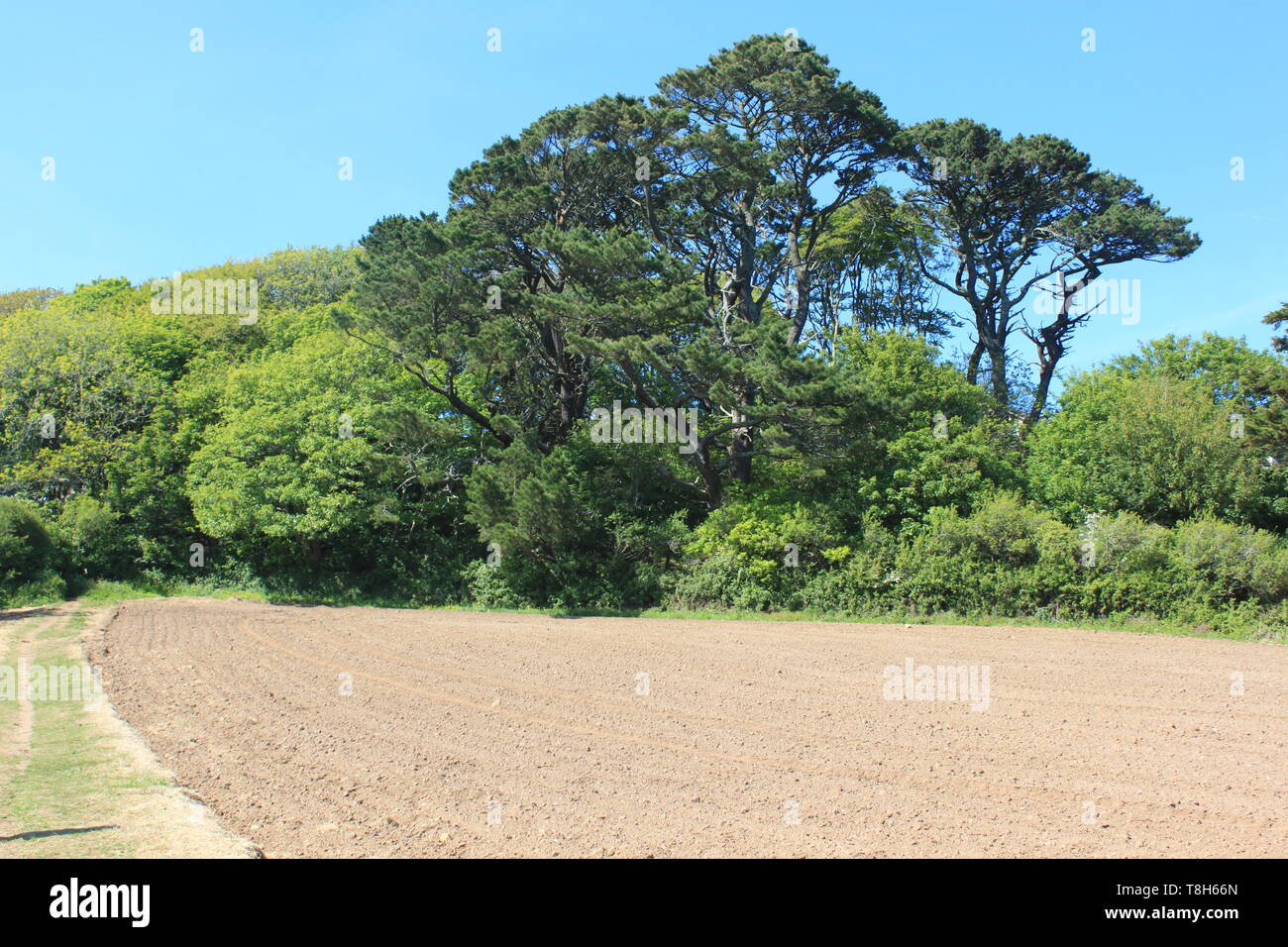 Ploughed agri field hi-res stock photography and images - Alamy