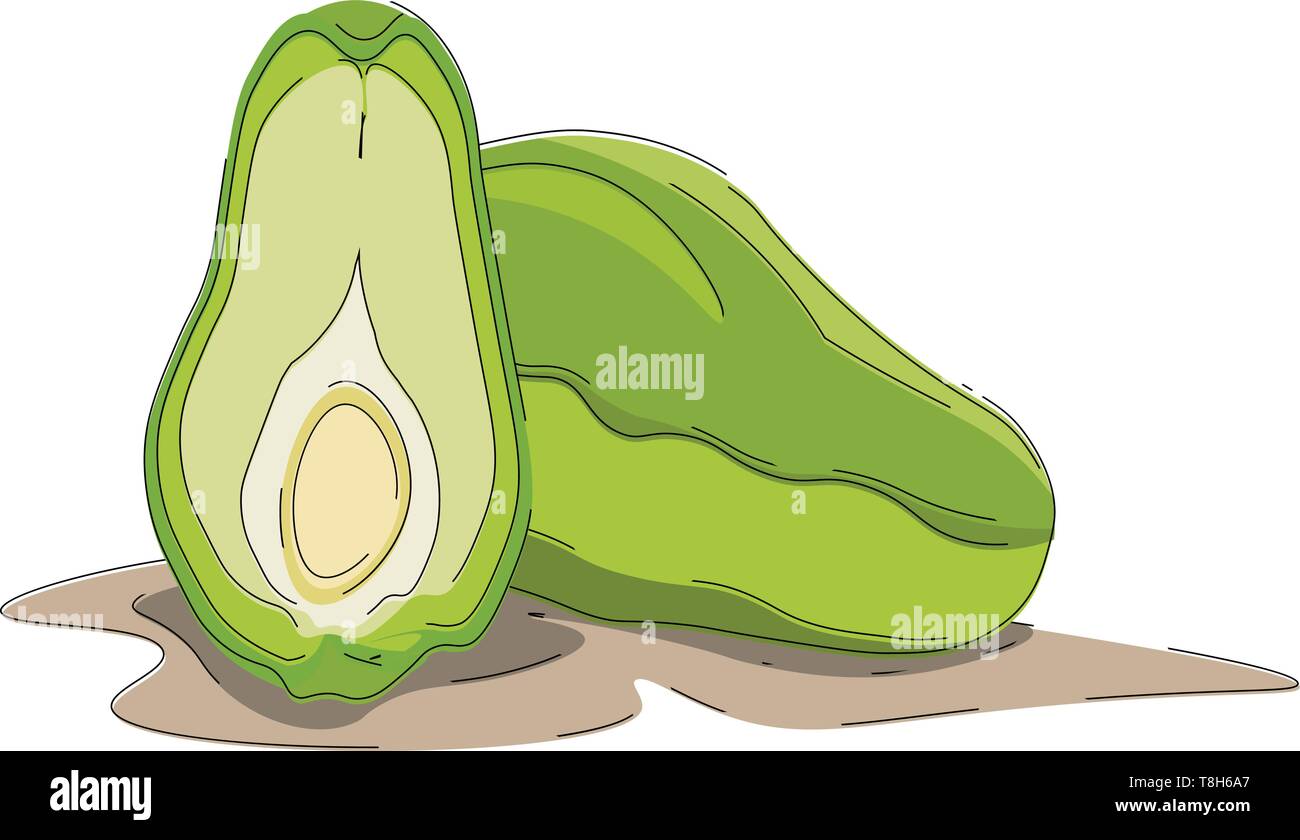 A full chayote and a sliced chayote which is sliced half , vector ...