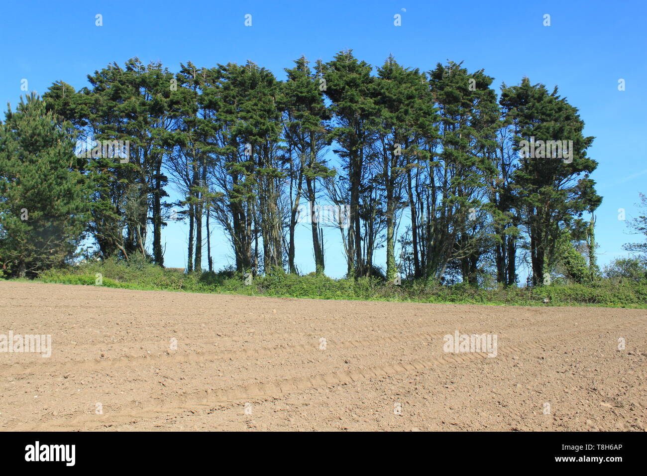 Ploughed agri field hi-res stock photography and images - Alamy