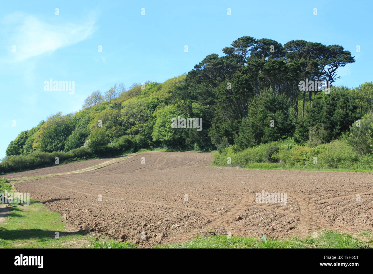 ploughed field with trees on horizon Stock Photo - Alamy