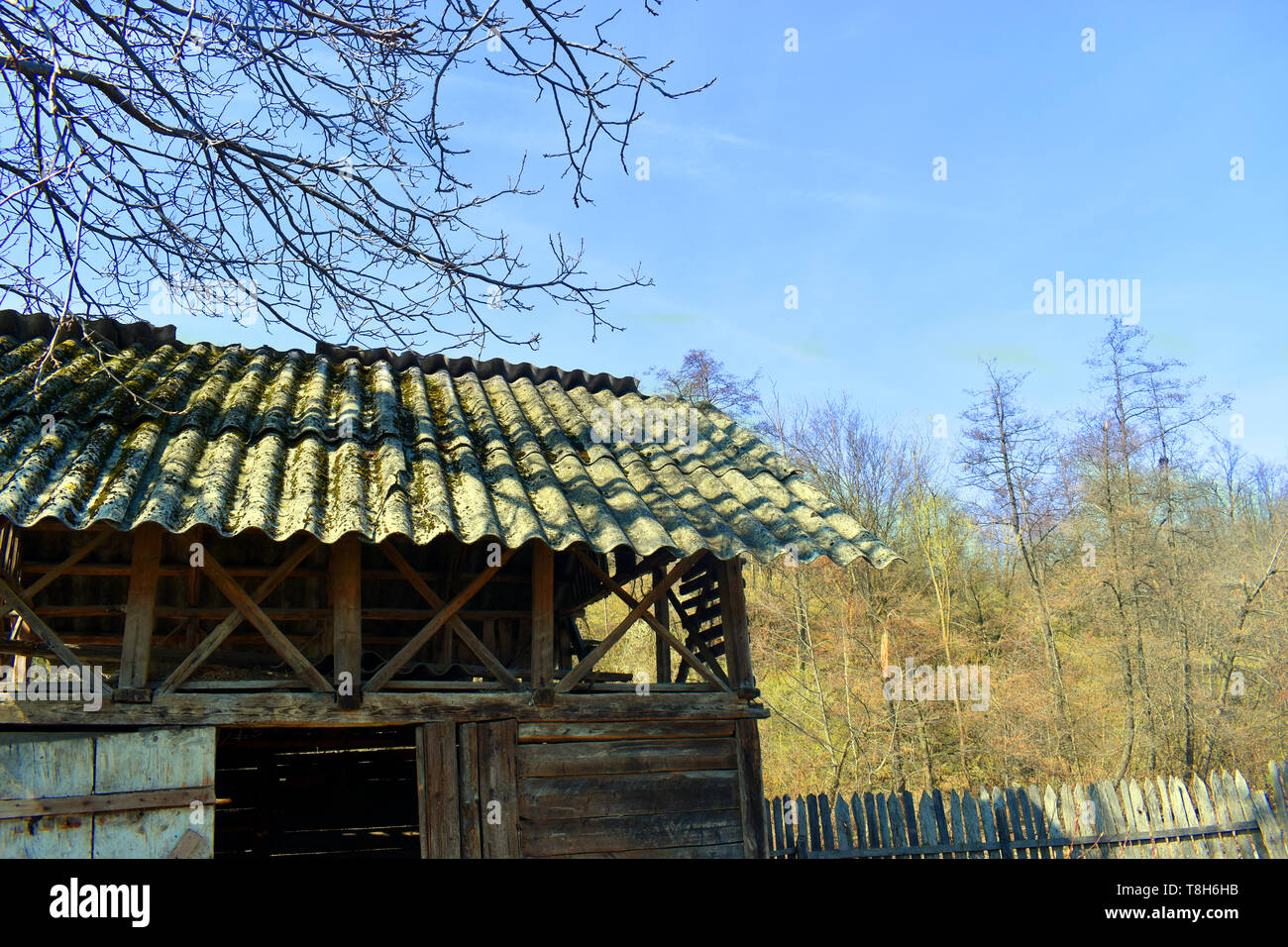Country barn in a spring sunny day Stock Photo - Alamy