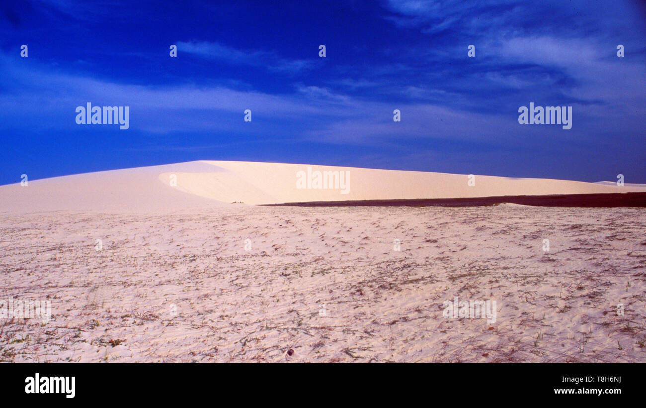 Brazil: The desert vegetation of the giant sand dunes around ...