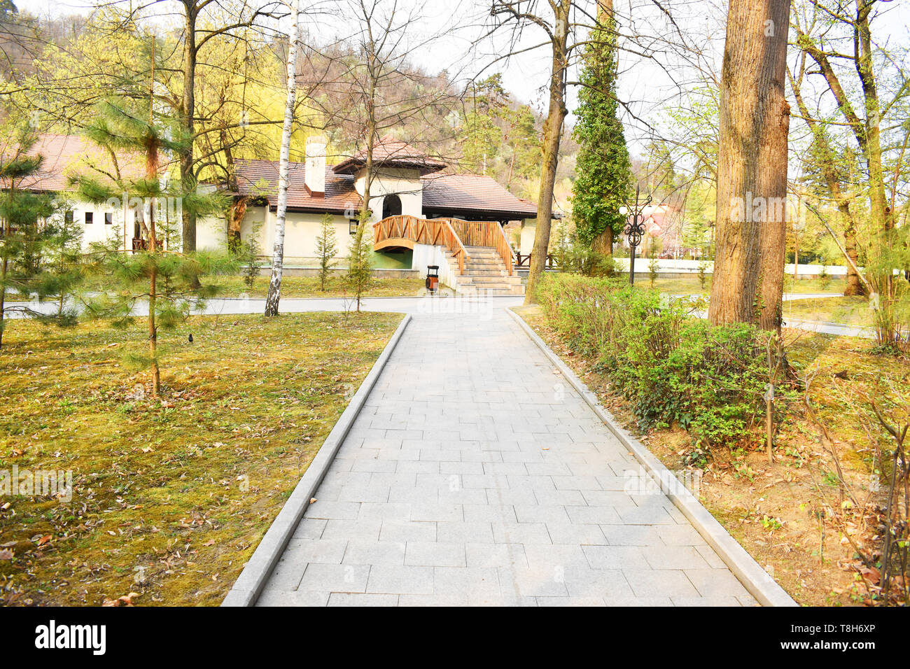 New pathway and beautiful trees track for running or walking and ...