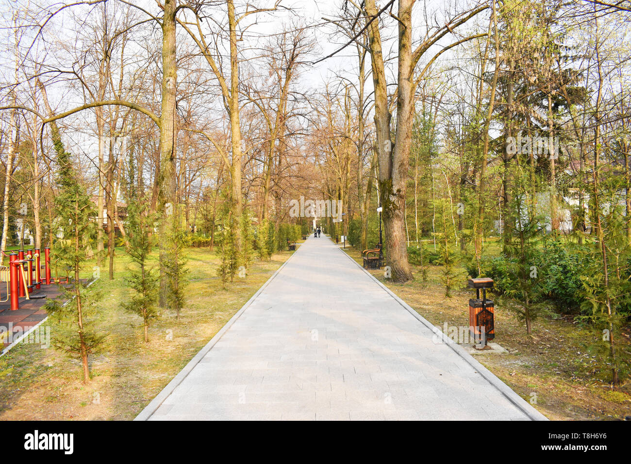 New pathway and beautiful trees track for running or walking and ...
