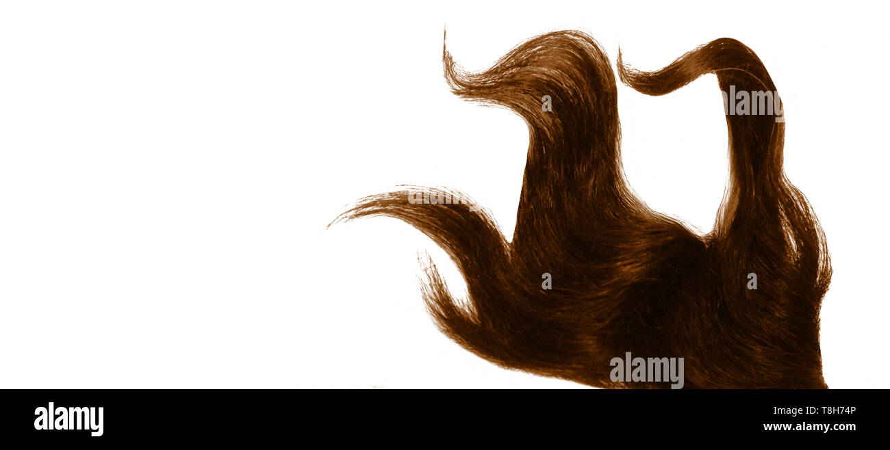 Curly dyed hair strand isolated on white background Stock Photo - Alamy