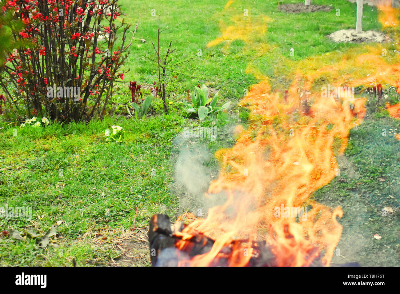 Firework party garden hi-res stock photography and images - Alamy