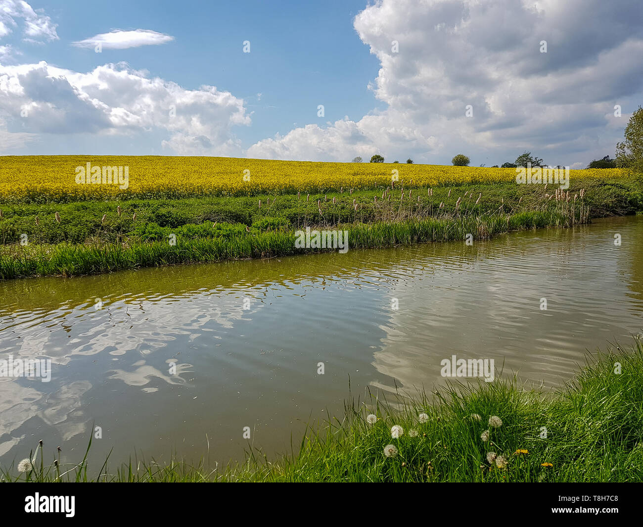 Grand Union Canal in the country seen near the village of Blisworth ...