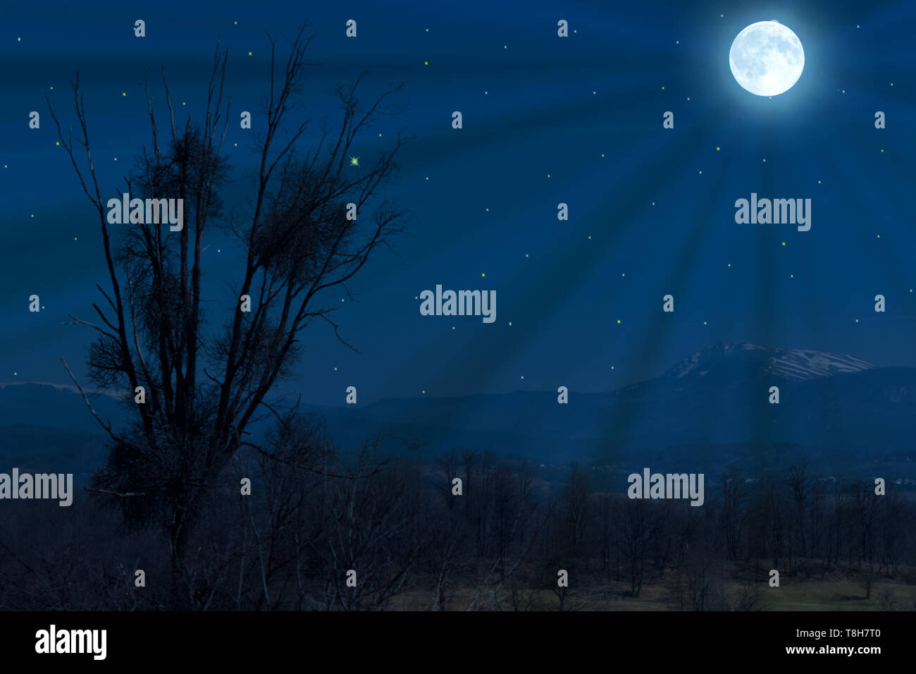 Moonlight over water and forest hi-res stock photography and images - Alamy