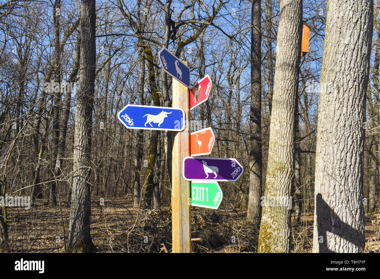 ZOO signs indicator Stock Photo - Alamy
