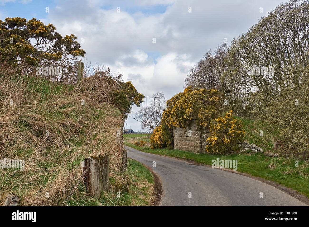 Old Railway Bridge Buttress High Resolution Stock Photography and ...