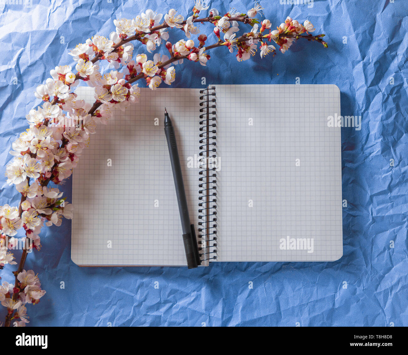 Open blank notebook, pen and cherry blossoming branch on bright ...