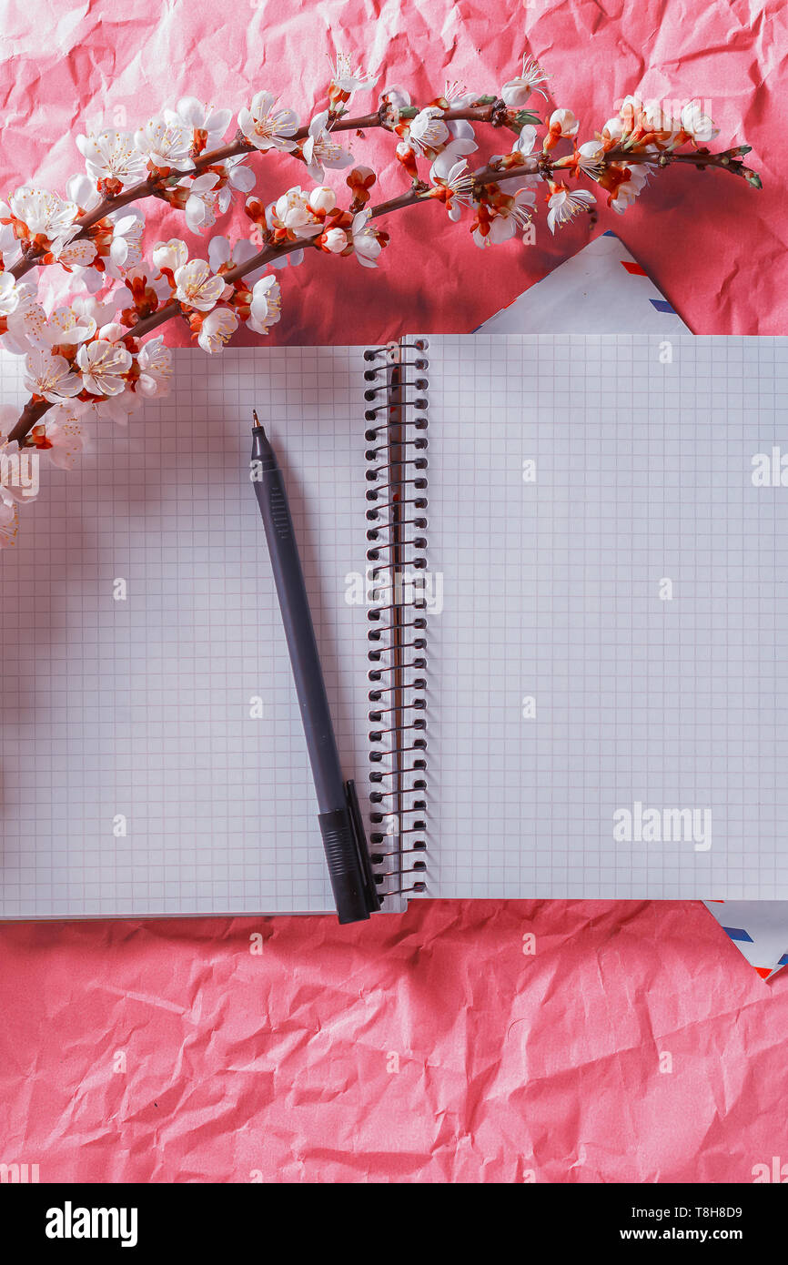 Opened notebook, pen and envelope in a frame of cherry blossoms on a ...