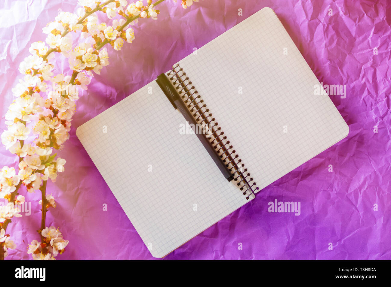 Open blank notebook, pen and cherry blossoming branch on bright ...