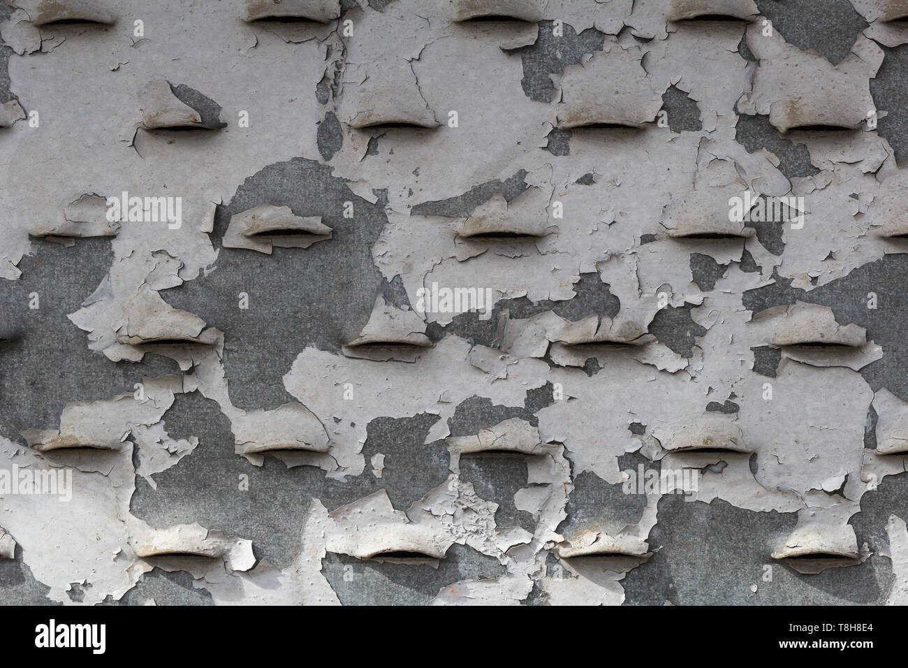 Metal rusty painted cyan grunge texture background. Copy space Stock ...