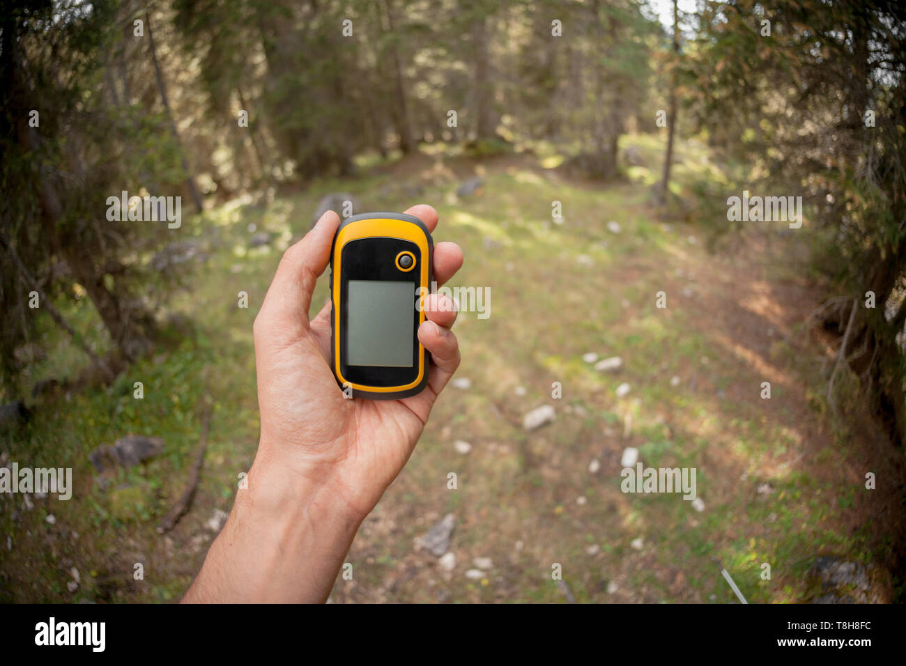 a trekker using a gps inside the forest Stock Photo - Alamy
