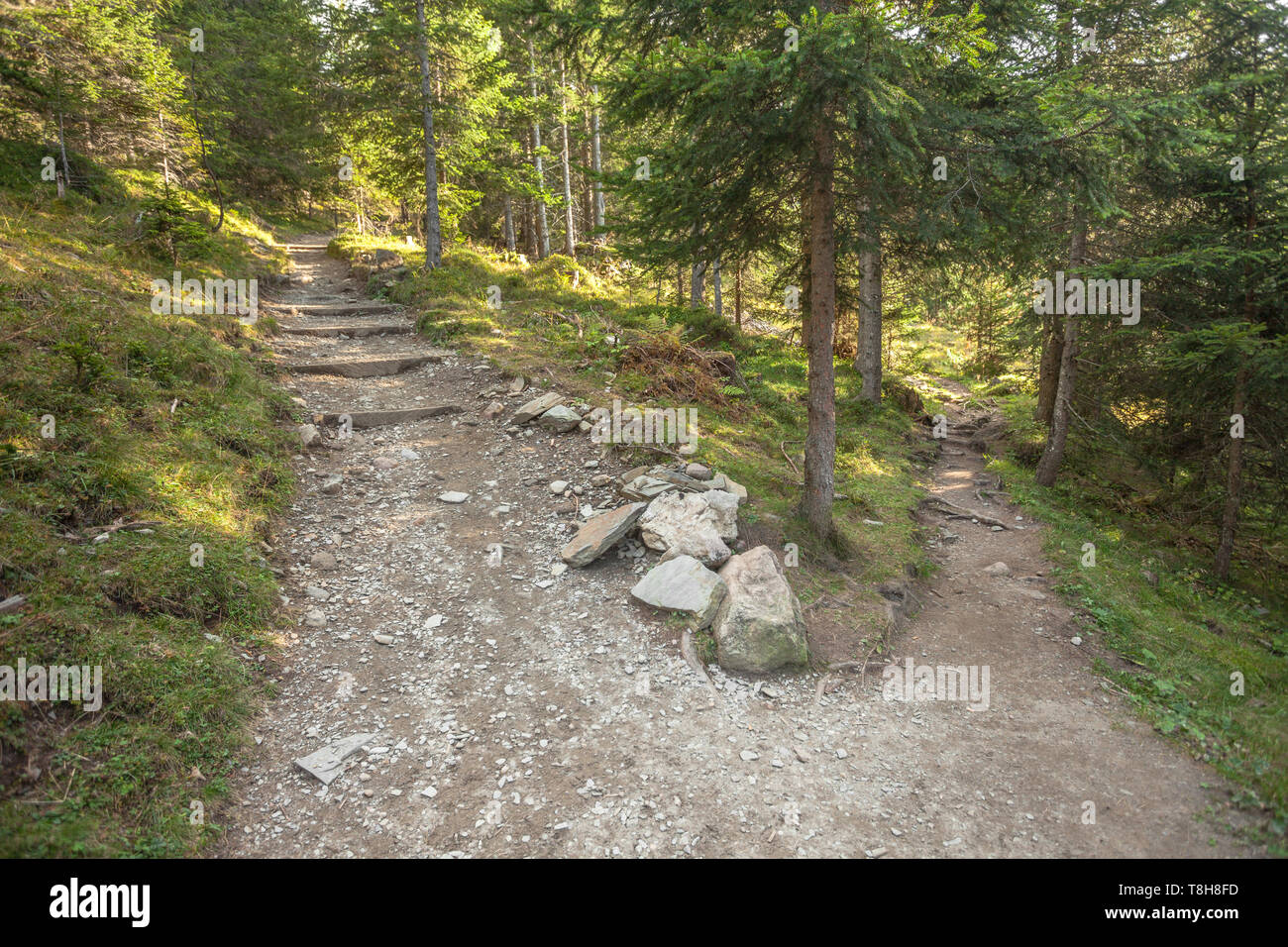 A single mountain path splits in two different directions Stock Photo ...