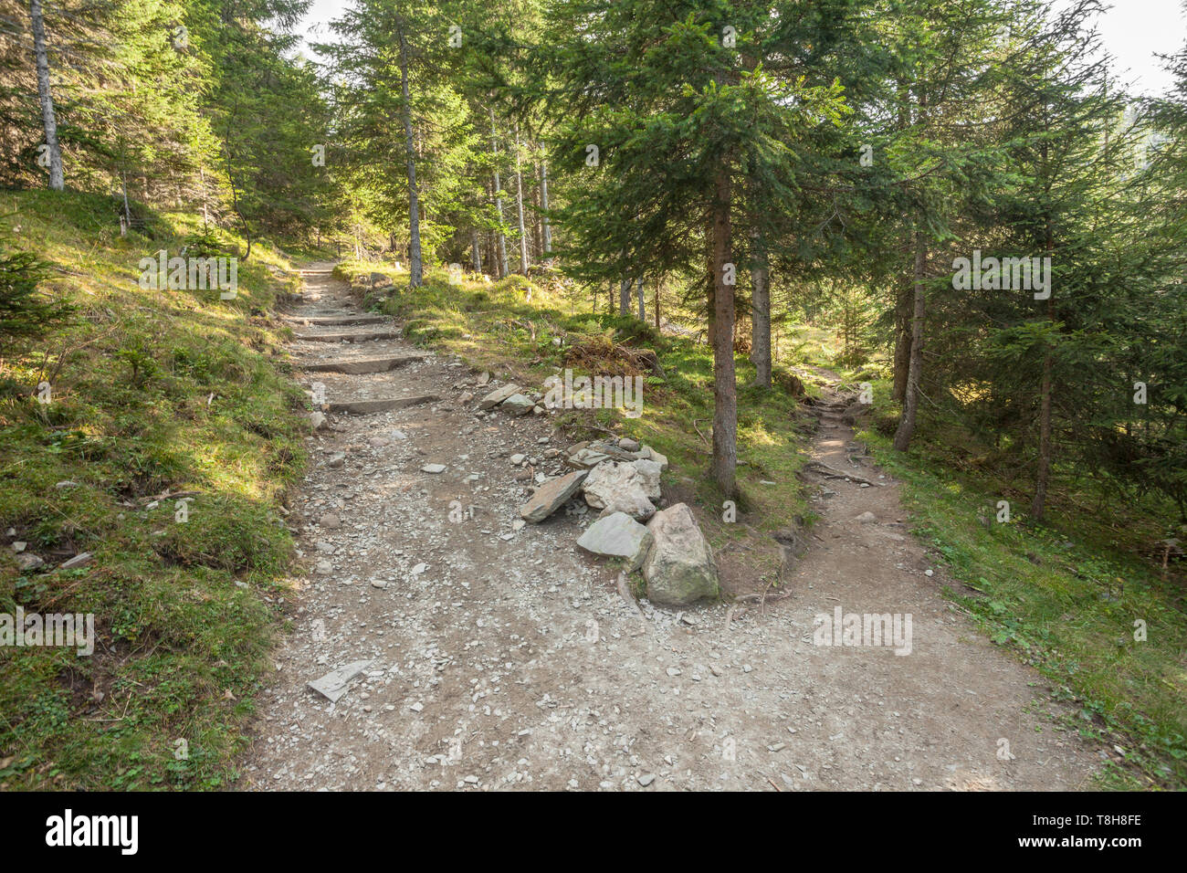 A single mountain path splits in two different directions Stock Photo ...