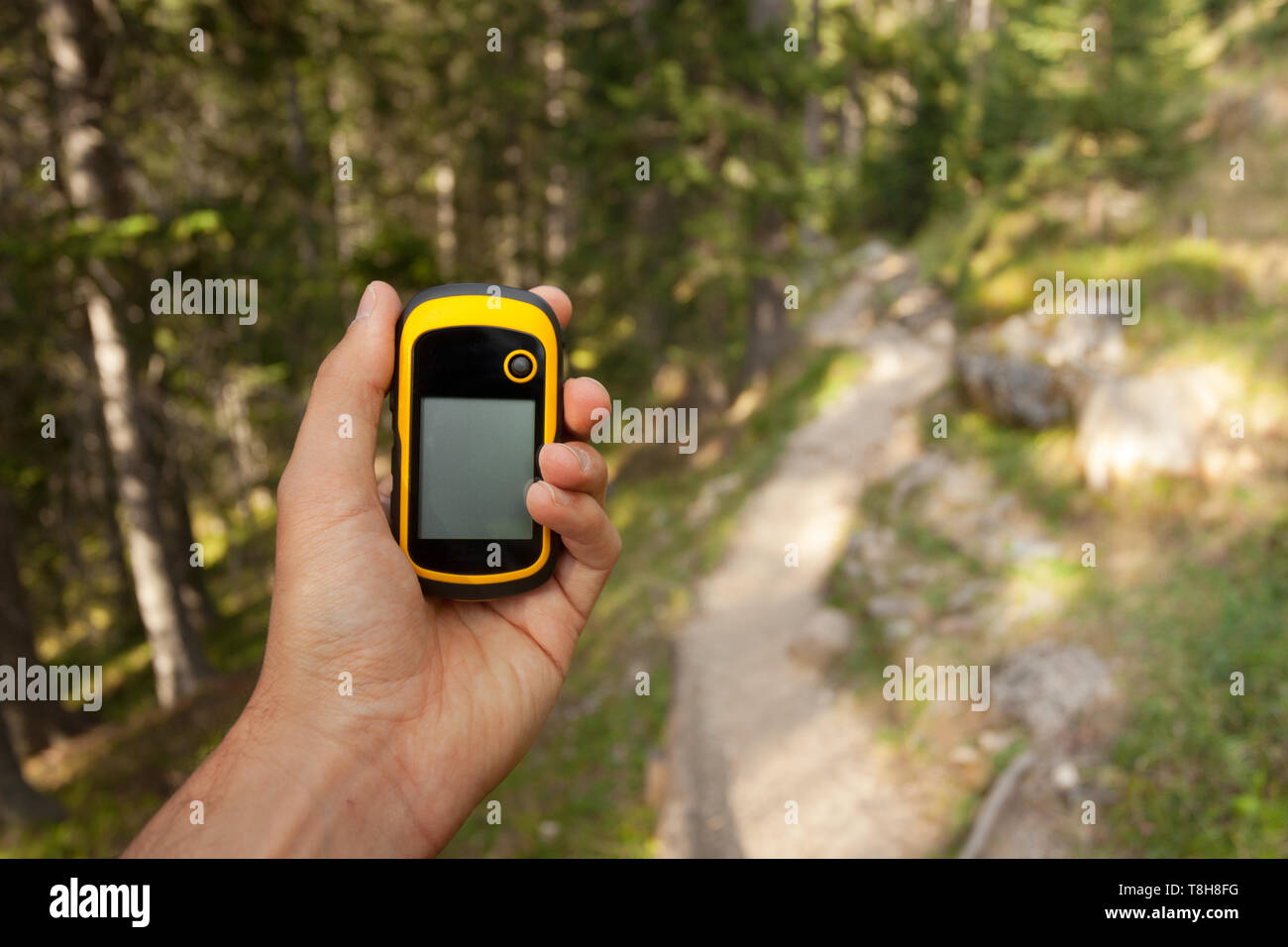a trekker using a gps inside the forest Stock Photo - Alamy