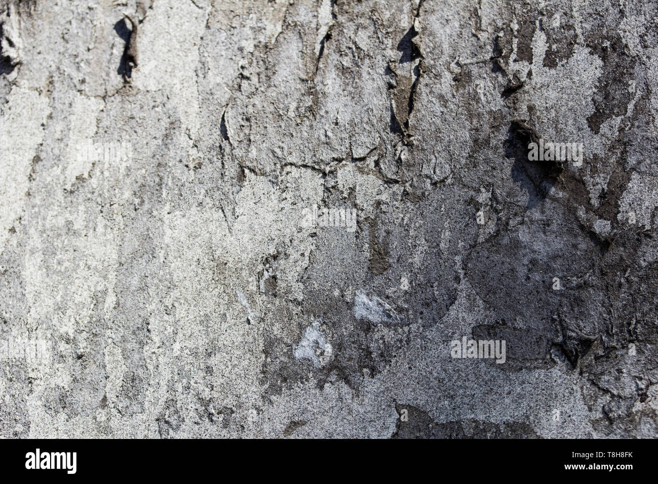 Old crumbling stucco grunge texture background. Copy space Stock Photo ...