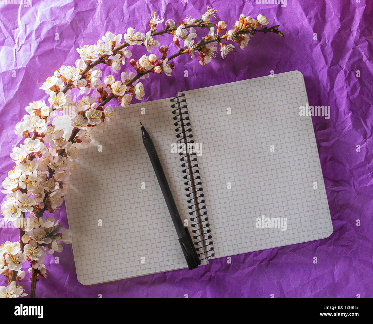 Open blank notebook, pen and cherry blossoming branch on bright ...