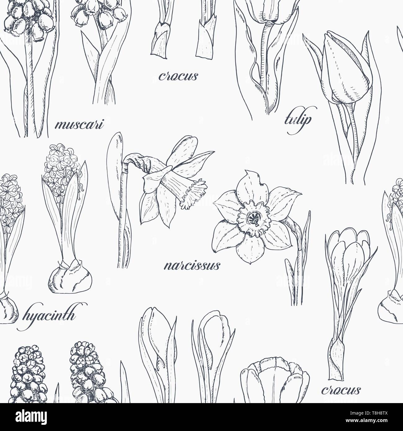 Seamless pattern with spring flowers on a white background. Vector ...