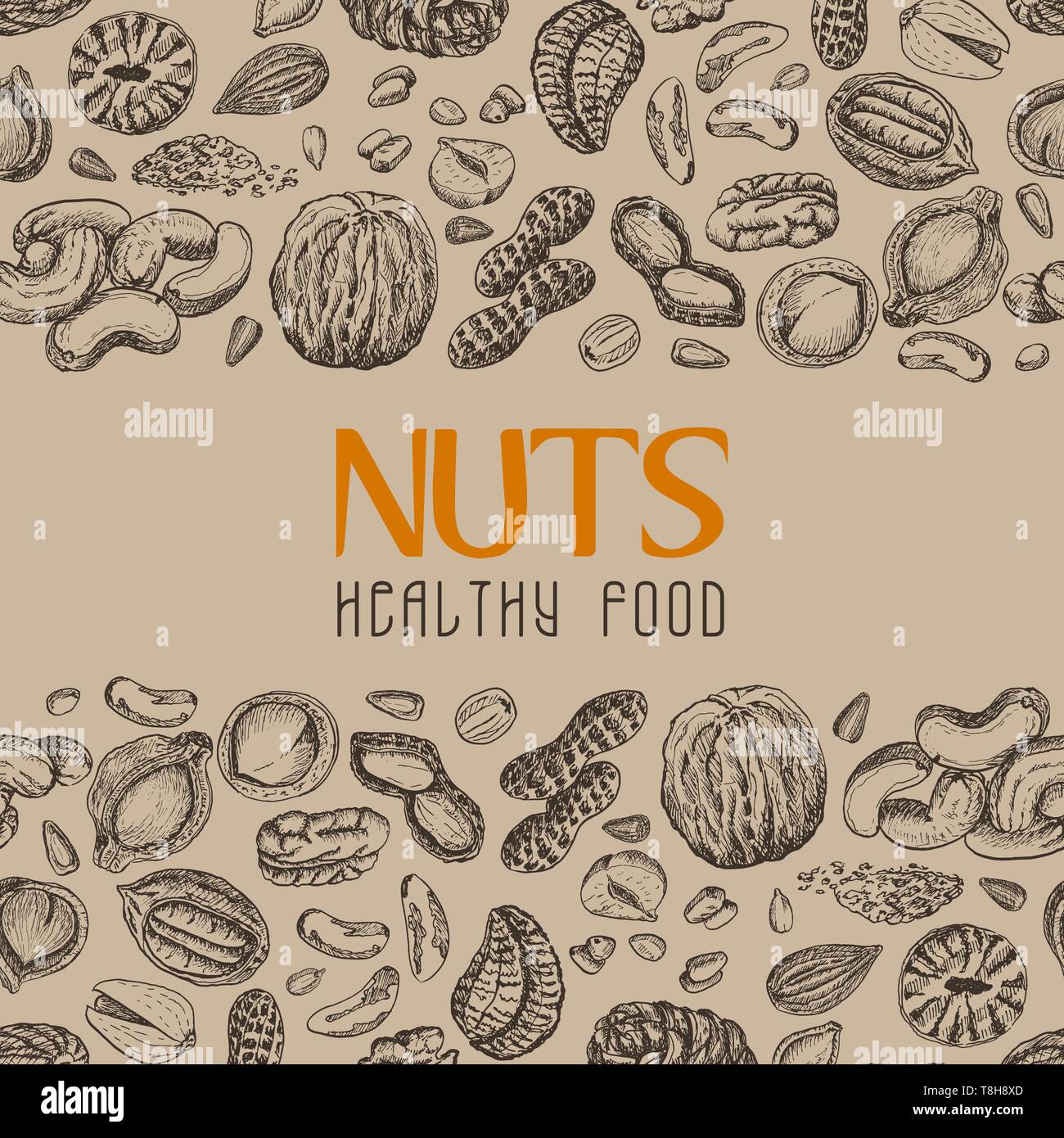 Vector background with nuts and seeds. Vector illustration for your ...