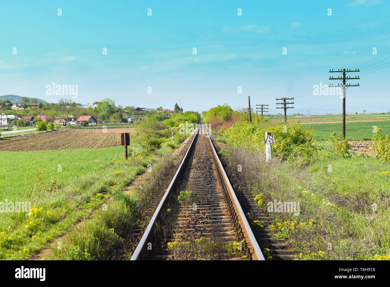 Long straight rails with vegetation Stock Photo - Alamy