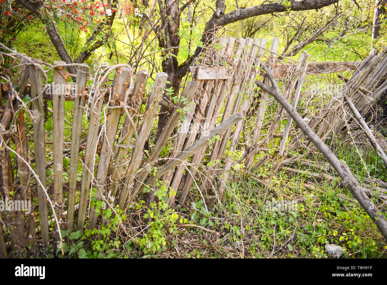 Broken wood fence hi-res stock photography and images - Alamy